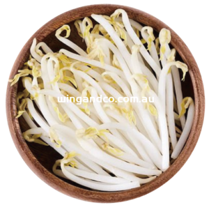 BEAN SPROUTS 1KG – WING & CO 云客亚超